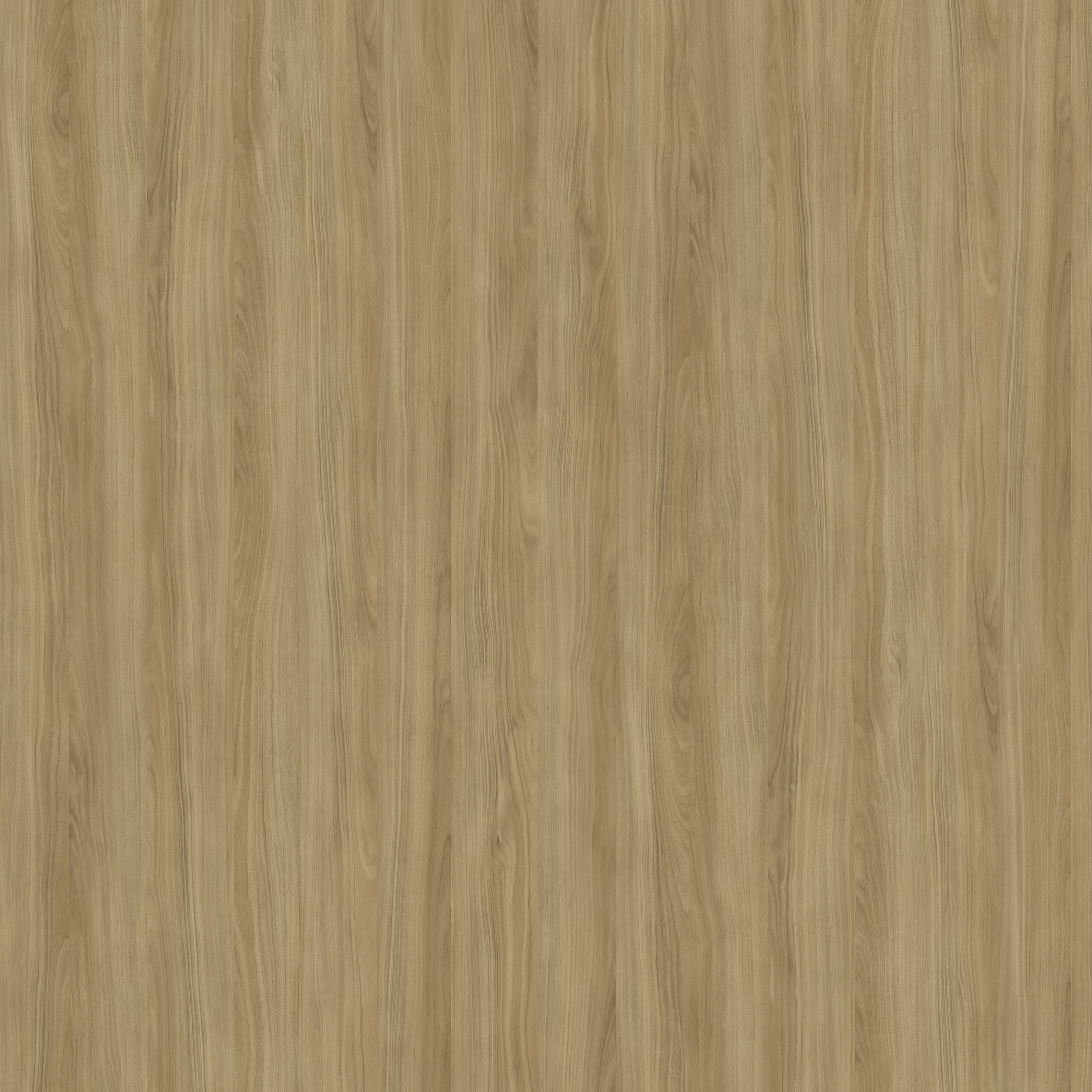 Arauco - WF467 Pelee Island Pear BOREAL