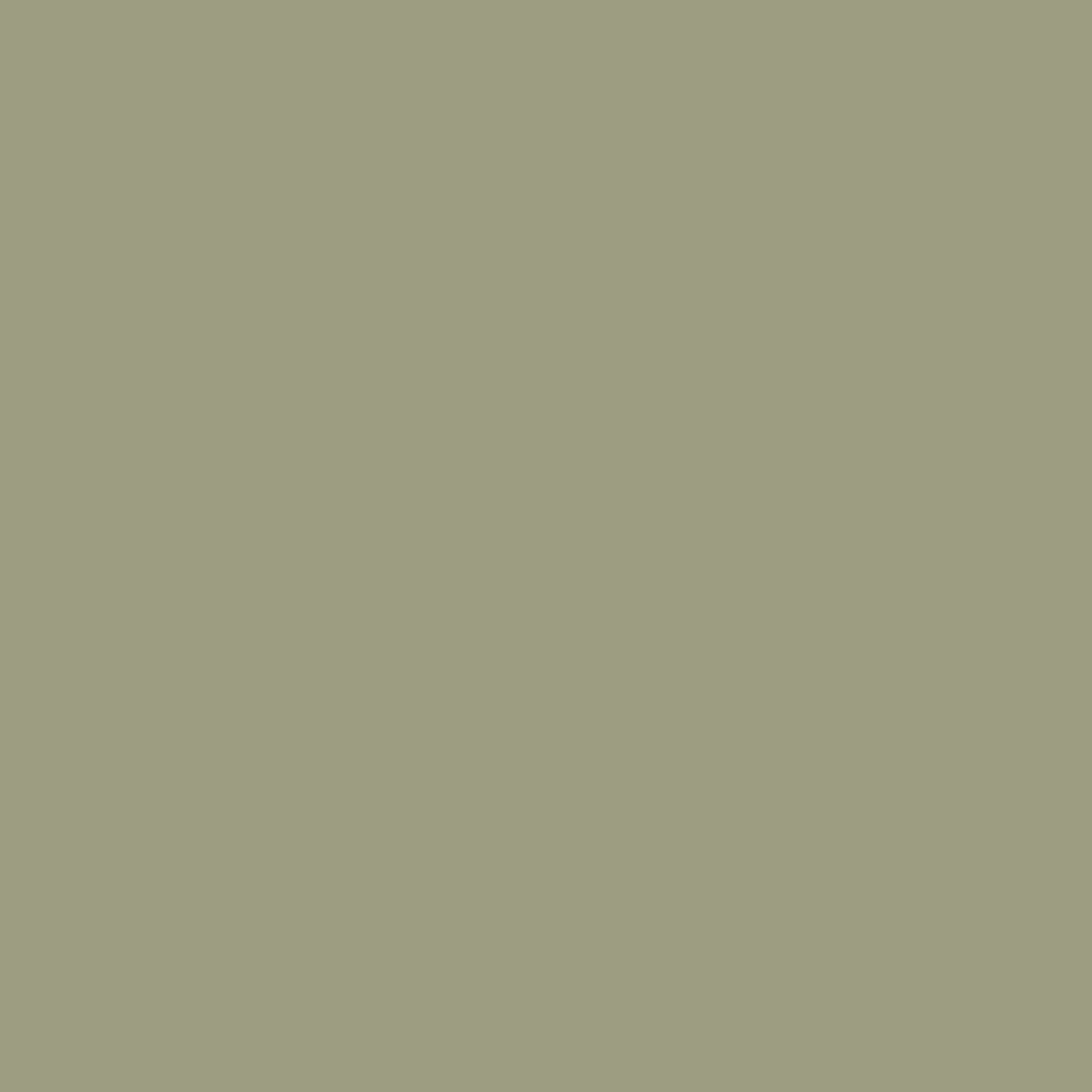 Tafisa Canada Inc. - T779PM Sage Leaf Lummia PERFECT MATT HPL 3x4