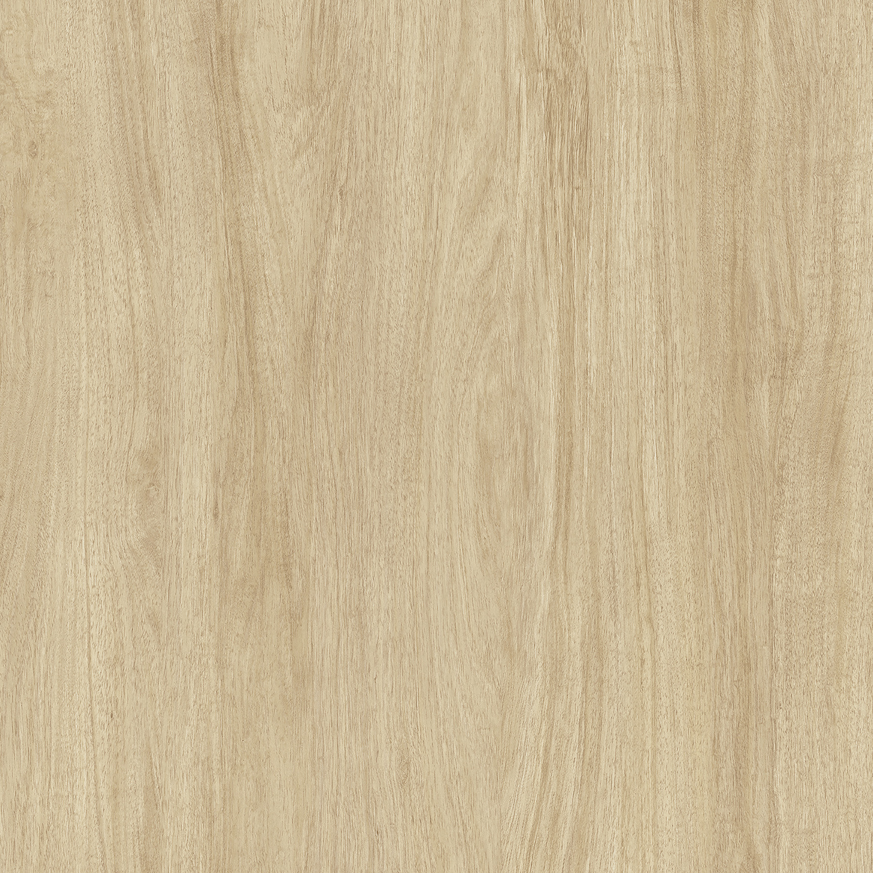 Tafisa Canada Inc. - T546AT - Mojave ALTO